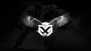 Identidade Visual Deagle - Rodnei Cruz